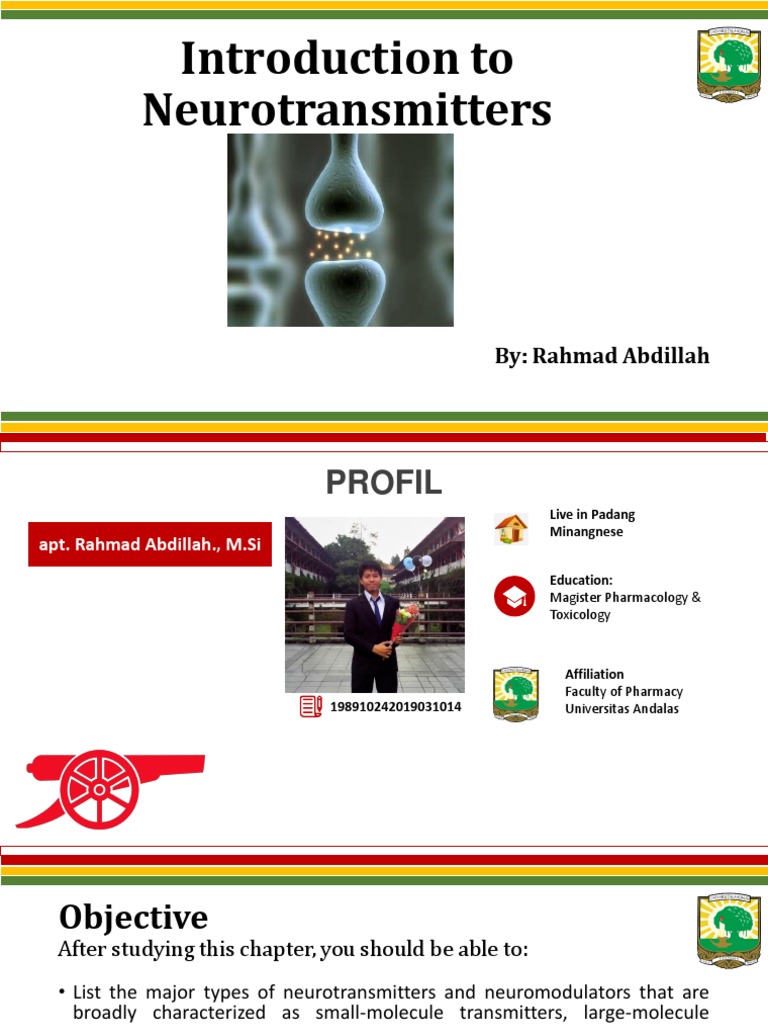 Introduction to Neurotransmitters | PDF | Neurotransmitter | Acetylcholine
