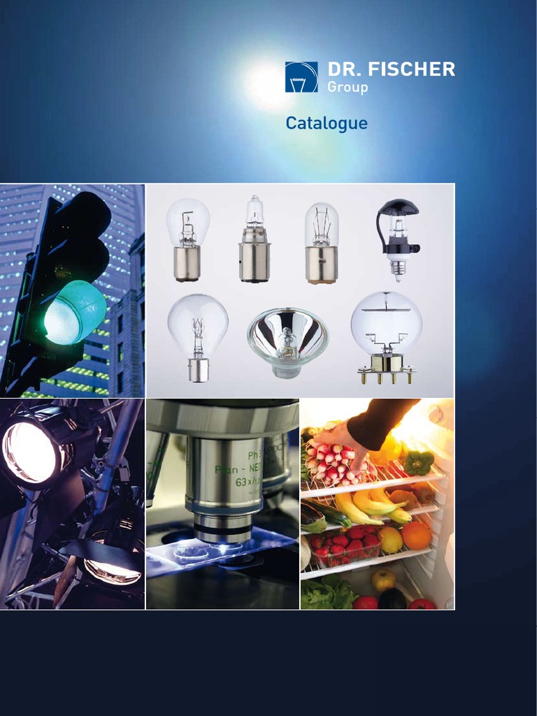 003 DF Group Catalogue-English | PDF | Incandescent Light Bulb ...