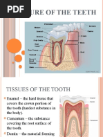 Edentulous Alveolar Ridge | PDF