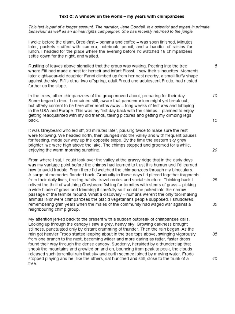 Writer's Effects Exercise | PDF | Home & Garden | Young Adult
