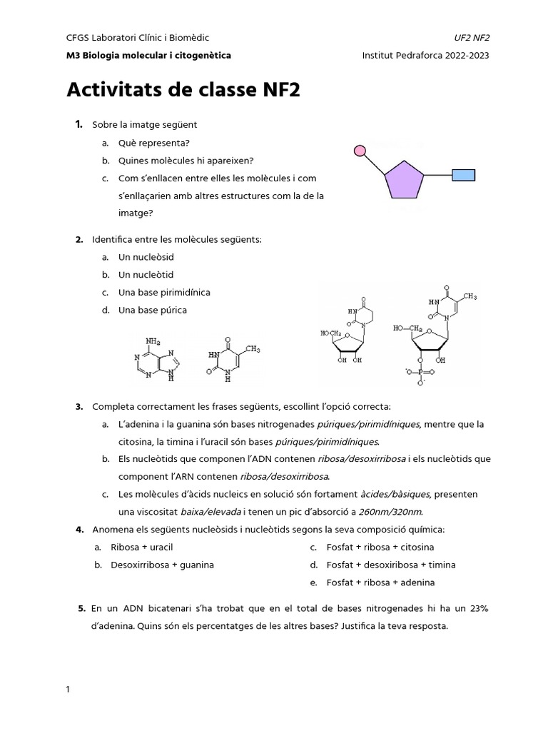 Activitats de Classe NF2 | PDF