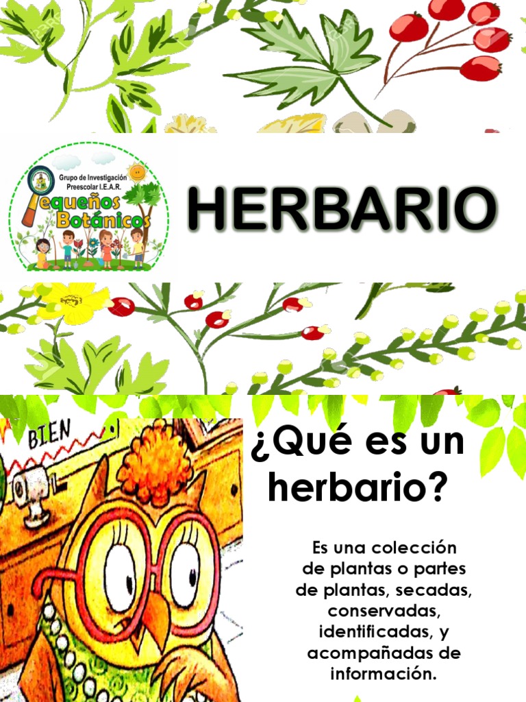 Material De Apoyo El Herbario Pdf