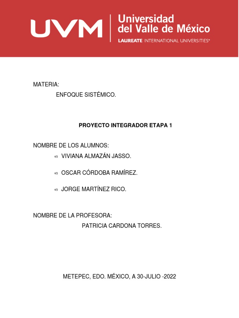 Proyecto Integrador 1 | PDF | Business | Economias