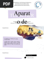 Técnica Roth en Ortodoncia: Diagnóstico y Prescripción | PDF ...