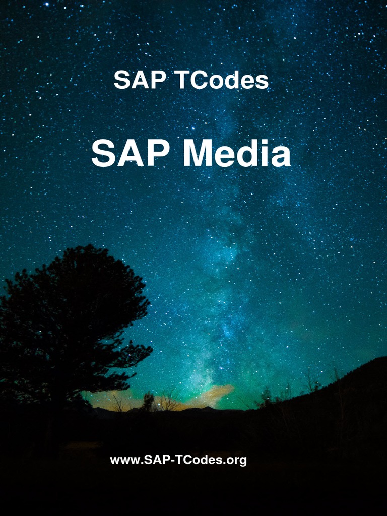 Sap T Codes | PDF | Analytics | Business