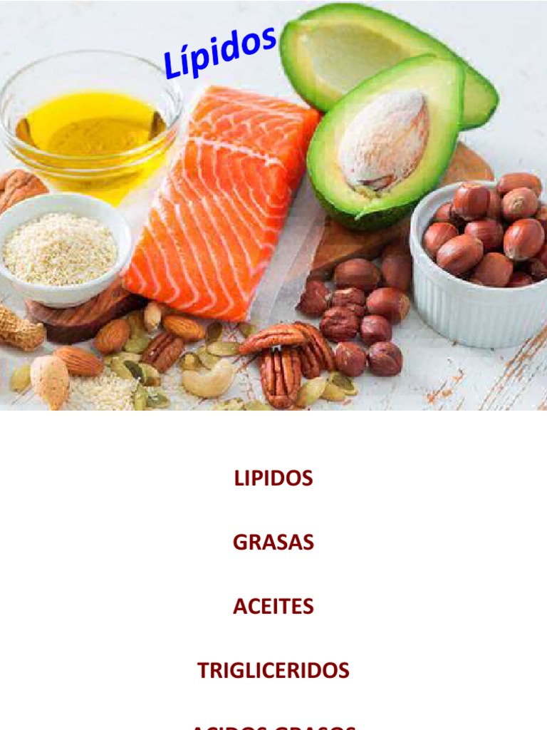 05 Lípidos | PDF | Triglicéridos | Lípido