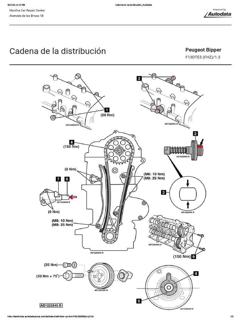 Cadena de La Distribución Peugeot Bipper 1.3 FHZ | PDF | Tornillo ...