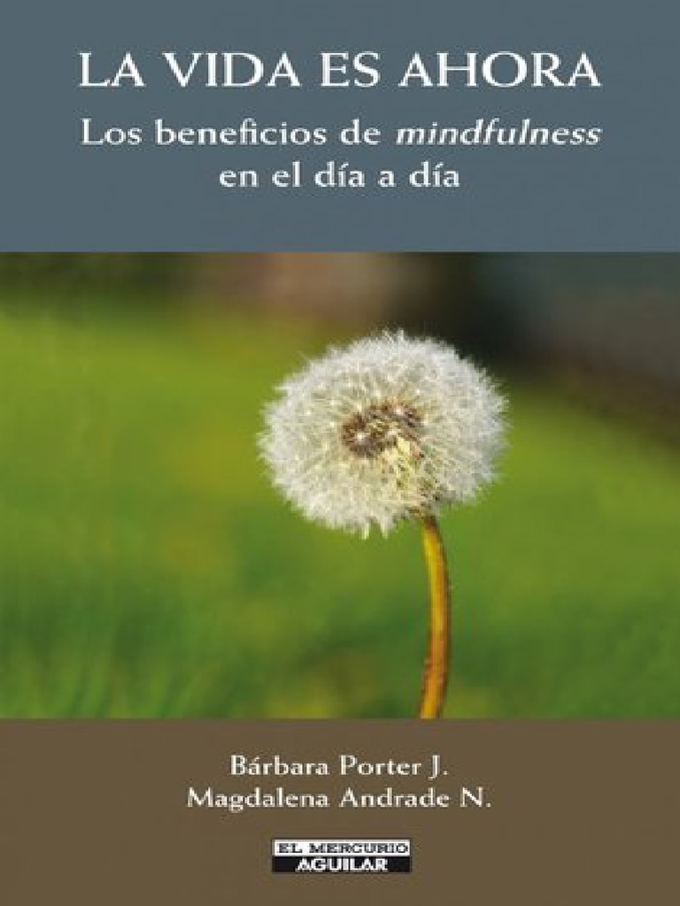 CAPITULO 1 Que Es Mindfulness FINAL.1 | PDF | Las emociones | Experiencia