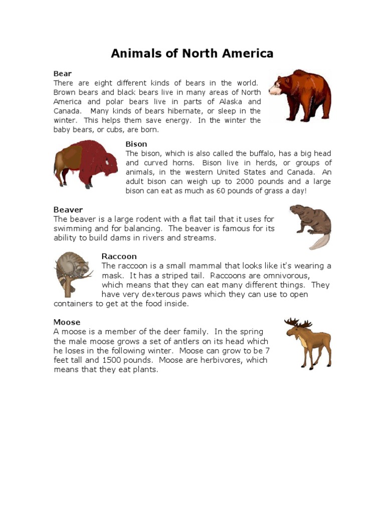 Animals of North America | PDF