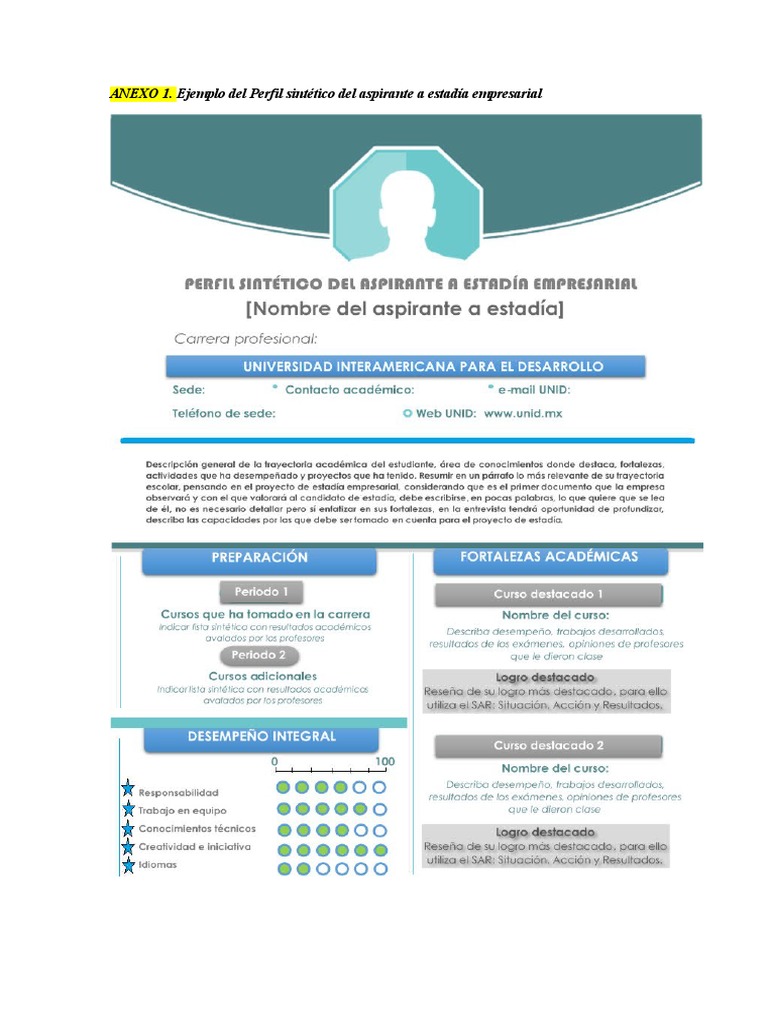 ANEXO 1 Ejemplo Perfil Sintetico | PDF ANEXO 1 Ejemplo Perfil Sintetico | PDF