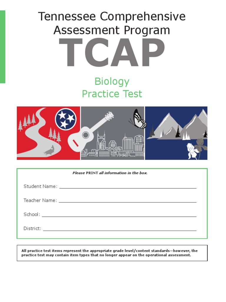 Biology Practice EOC | PDF | Rna | Photosynthesis