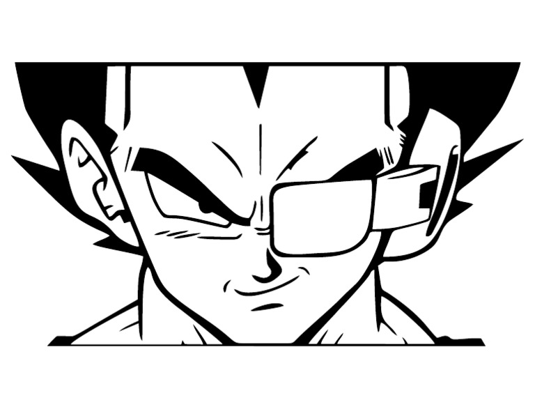 Vegeta Scanner | PDF