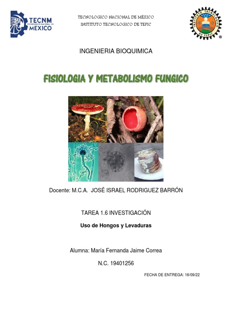 Fisiologia y Metabolismo Fungico | PDF | Hongo | Cerveza