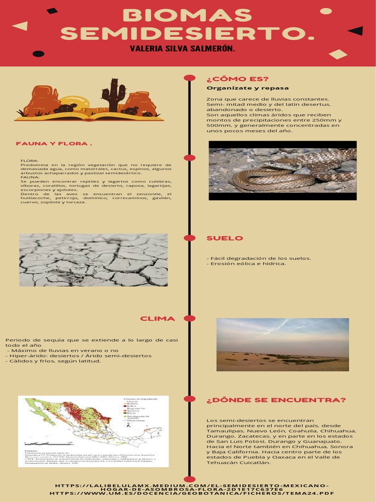 Selva alta perennifolia: características y ubicación | PDF | Ecología ...