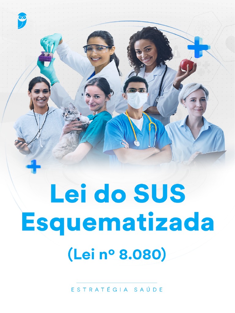 Lei Do SUS Esquematizada - Lei No 8.080 | PDF | Epidemiologia | Sindicato