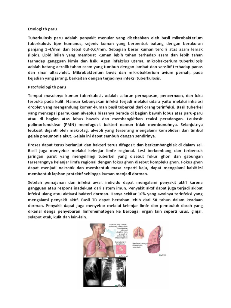 Etiologi Dan Patofisiologi Tuberkulosis Paru Pdf