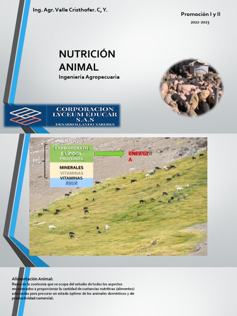 Nutrición Animal | PDF | Nutrición | Dieta y nutrición