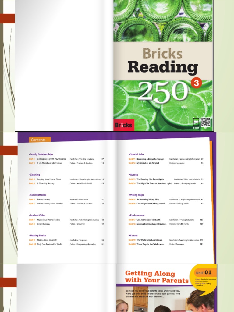 Bricks Reading 250 - lv3 - Students Book | PDF