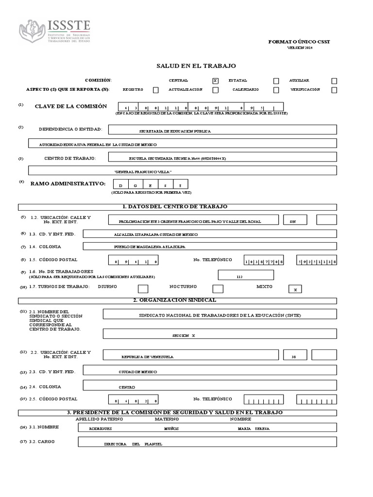 Formato Unico Comisiones Mixtas | PDF