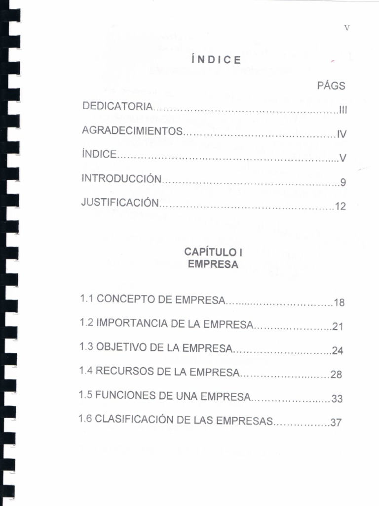 Ejemplo de Indice | PDF