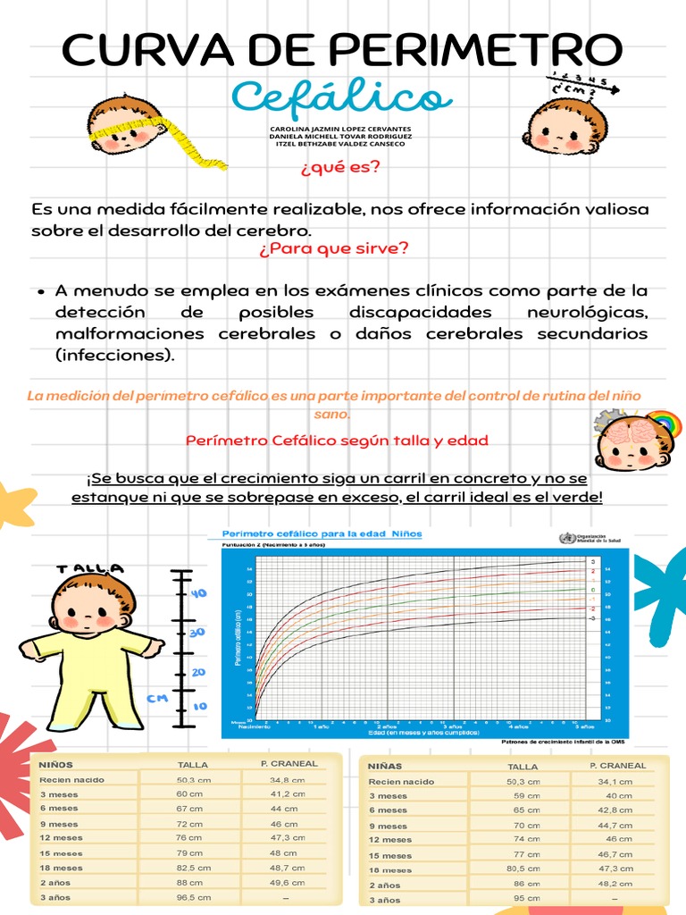 Perímetro Cefálico en Niños: Guía Clínica | PDF | Cerebro | Sistema ...