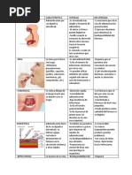 Via Intratecal | PDF | Farmacia | Medicina CLINICA