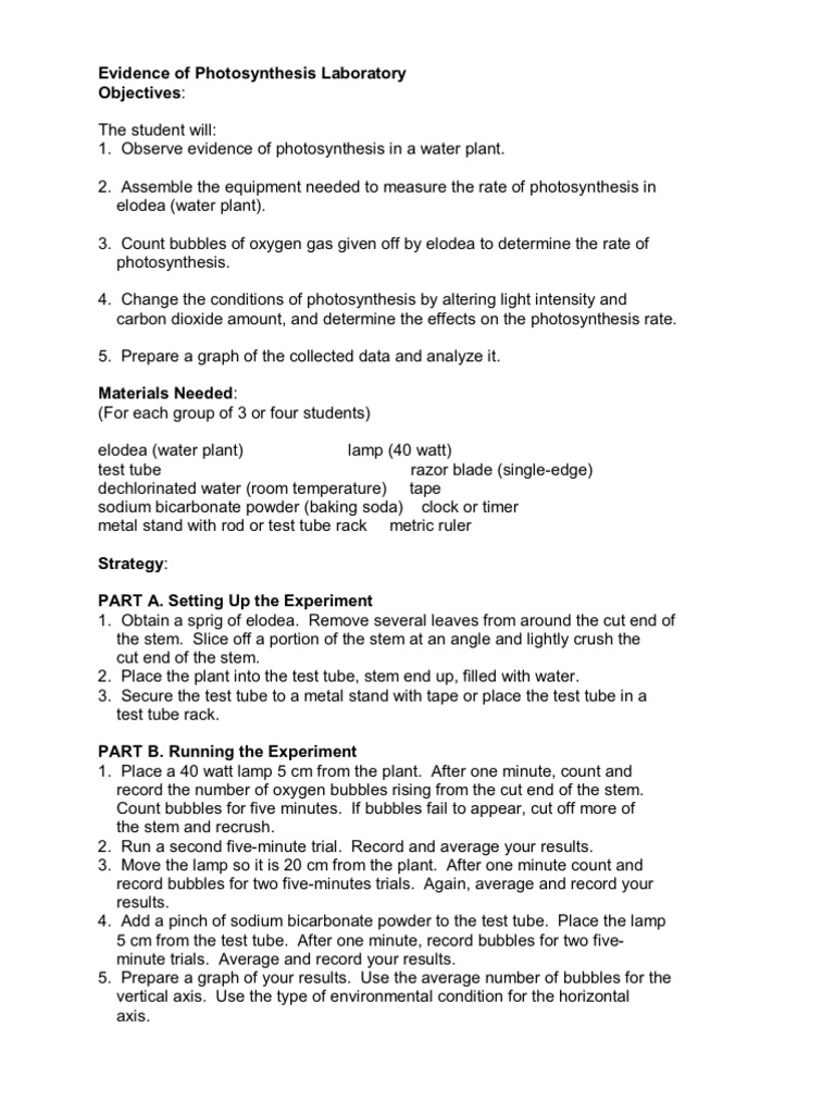 Evidence of Photosynthesis Laboratory | PDF | Photosynthesis | Cell ...