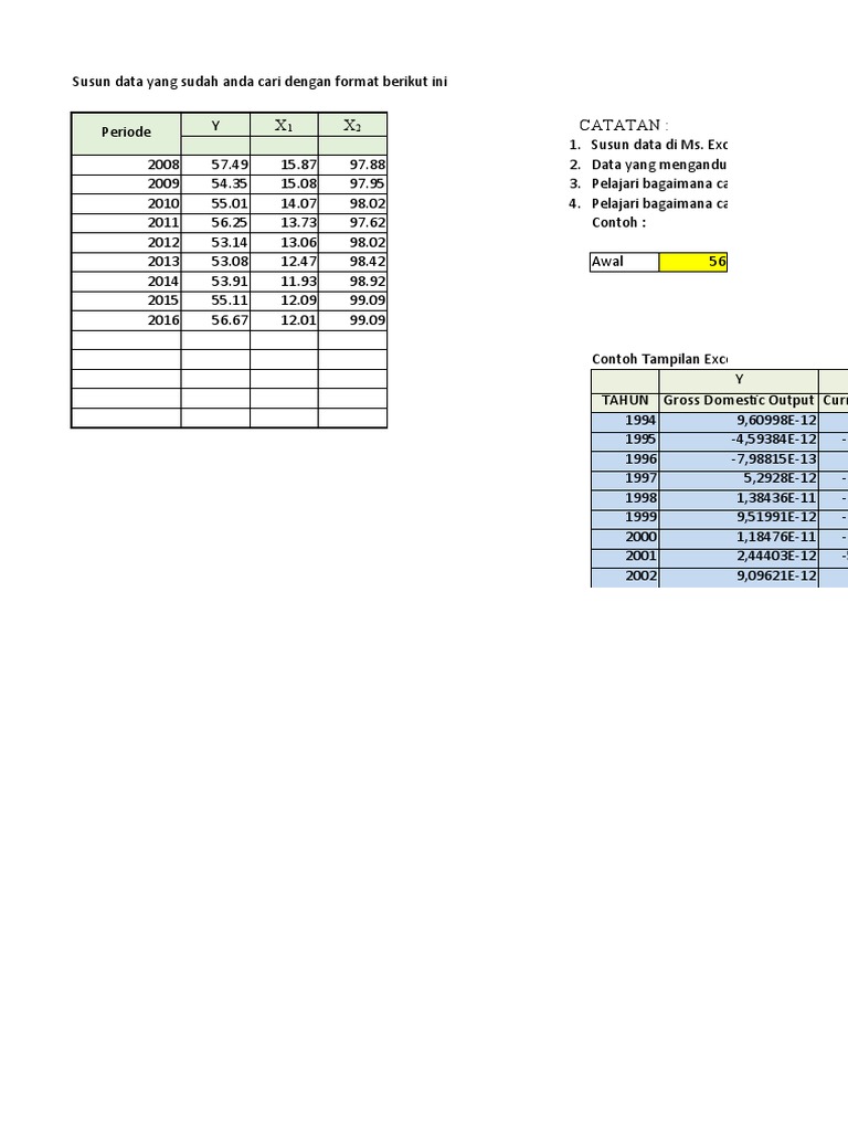 Panduan Format Data Excel | PDF