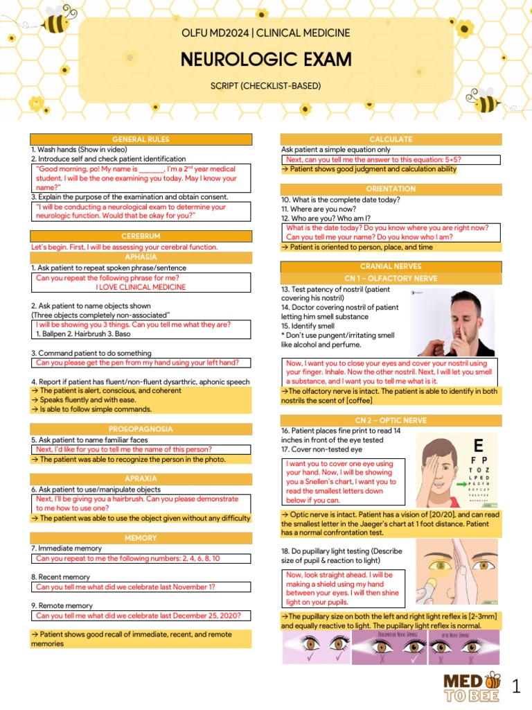 Neurologic Exam | PDF | Anatomical Terms Of Motion | Human Anatomy