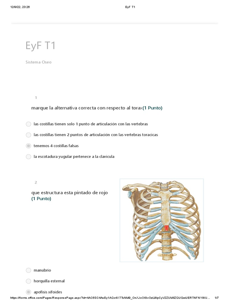 Estructura y Funcion Humana - T1 | PDF | Sistema esquelético | Sistema ...