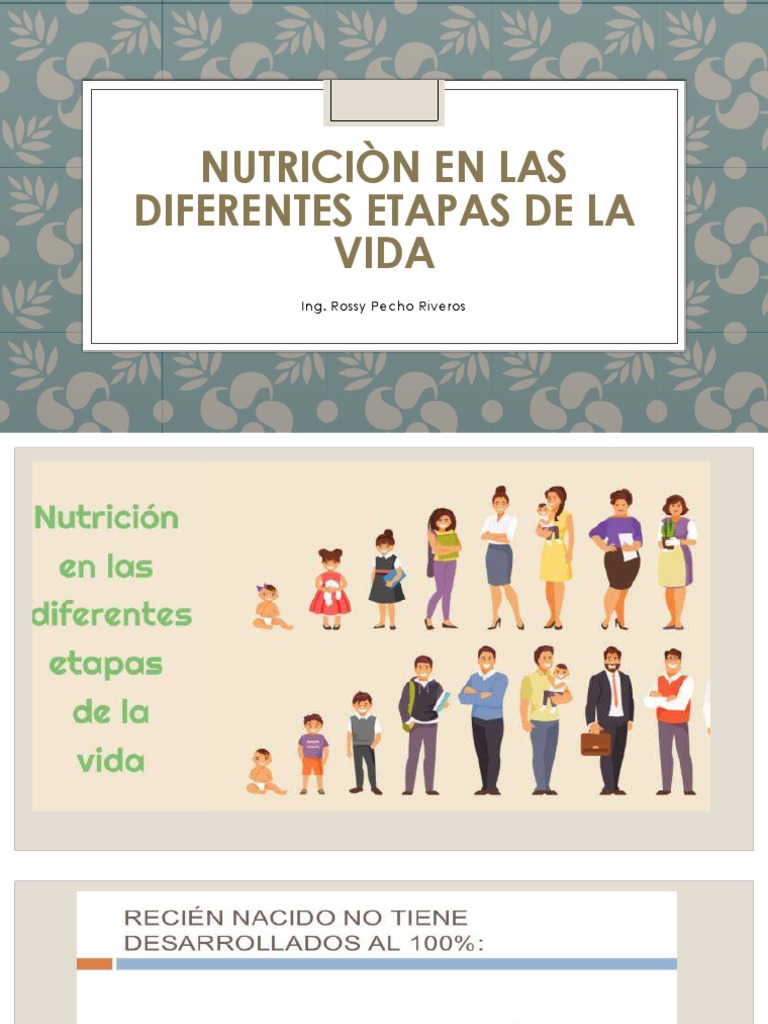 Nutriciòn En Las Diferentes Etapas De La Vida Pdf