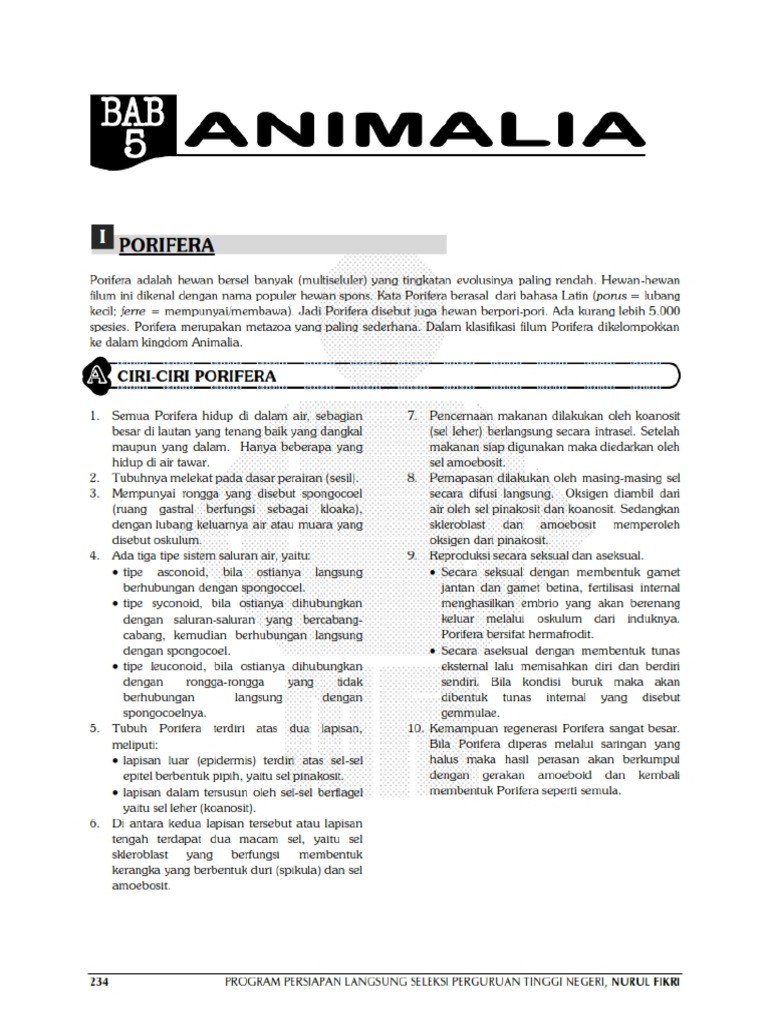 Animalia | PDF