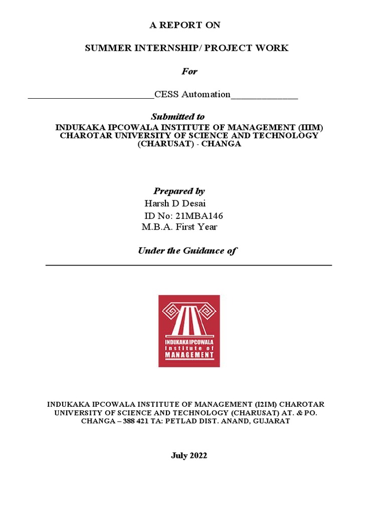 Summer Internship Report (MBA) | PDF | Marketing | Target Audience