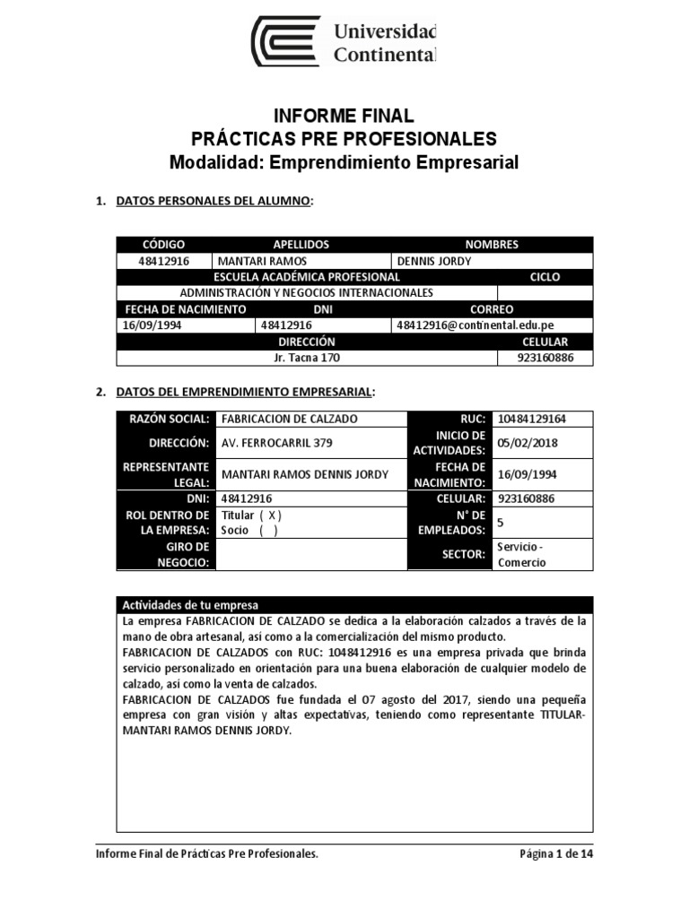 Formato de Informe Final | PDF | Business | Iniciativa empresarial