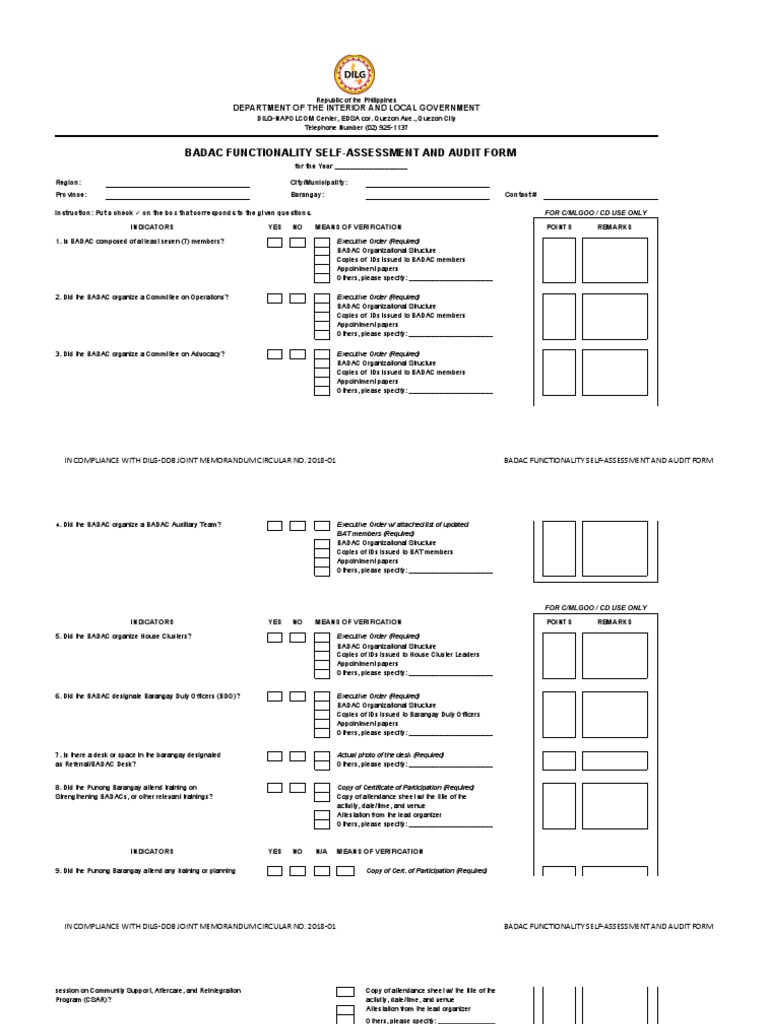 3 Badac Self Assessment and Audit Form | PDF | Audit