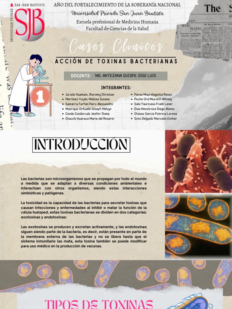 Microbiologia (Acción de Toxinas Bacterianas) | PDF | Lipopolisacárido ...