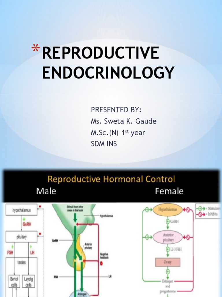 Reproductive Endocrinology | PDF | Menstrual Cycle | Animal Anatomy