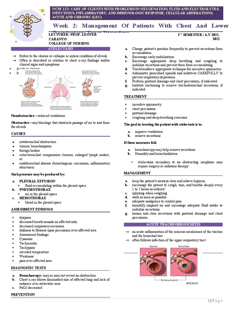 Nursing Management of Pneumonia | PDF | Pneumonia | Lung
