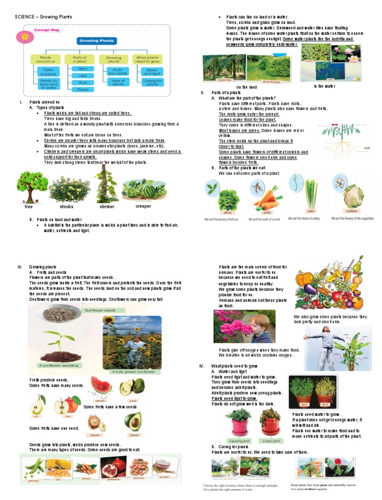 SCIENCE _ Growing plants | PDF
