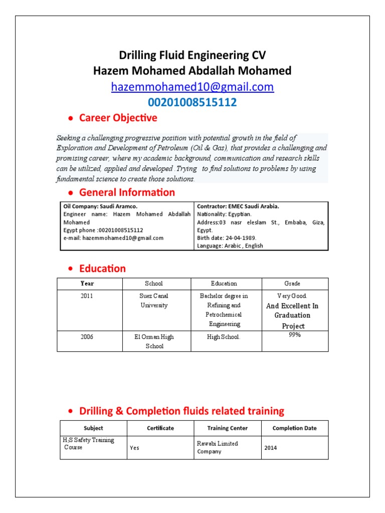 Hazem Mohamed Abdallah CV | PDF | Egypt | Oil Well