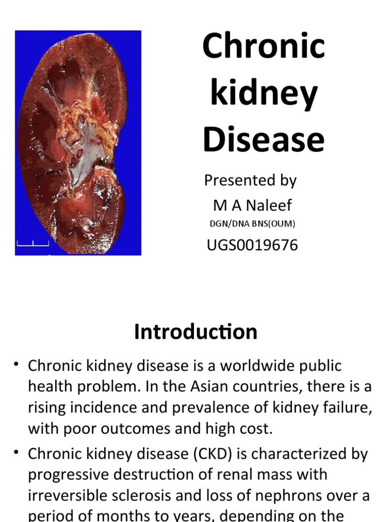 CKD Case Presentation | PDF | Chronic Kidney Disease | Hemodialysis