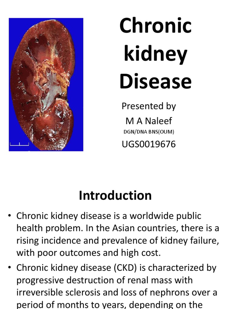 CKD Case Presentation | PDF | Chronic Kidney Disease | Hemodialysis