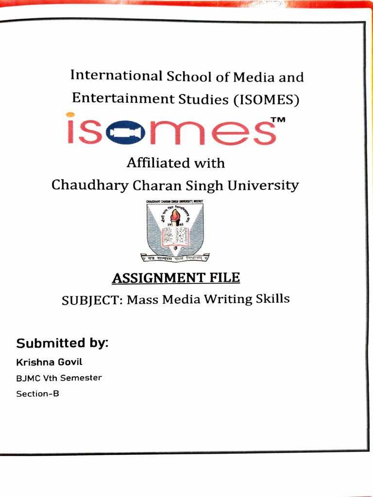 Mass Media Writing Skills Assignment | PDF