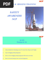 Cranes - For - You - Guideline For The Safe Use of Taglines | PDF ...