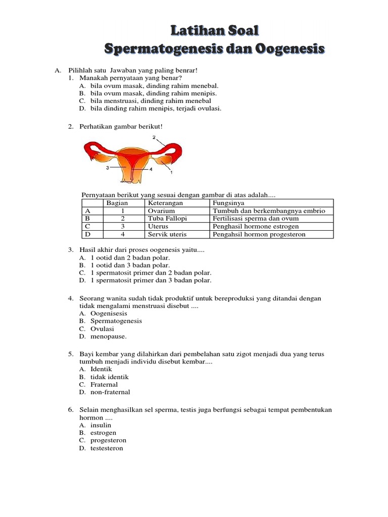 Latihan Soal Spermatogenesis, Oogenesis Dan Fertilisasi | PDF | Sains & Matematika | Kesehatan ...