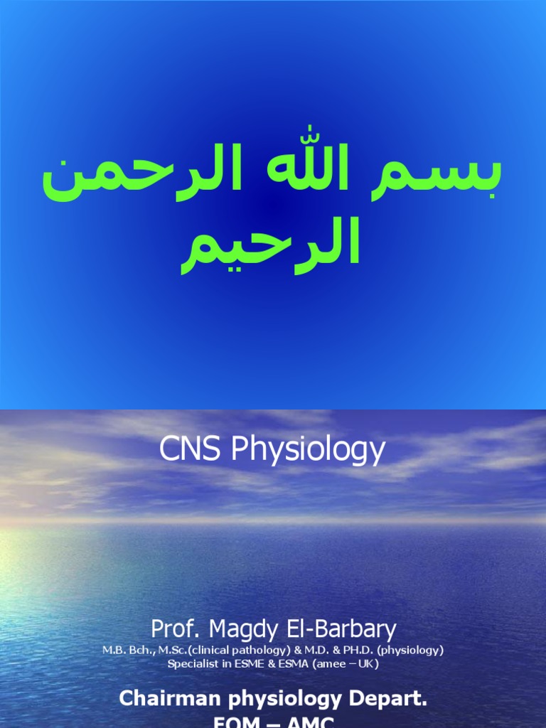 Cns Structural Functional Organization 2020 Download Free Pdf Central Nervous System