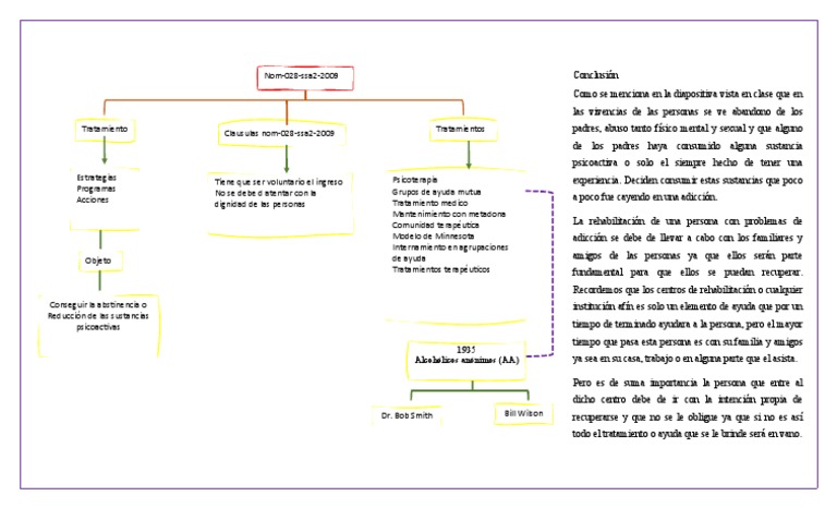 Mapa Mental y Conclusión de La NOM-028 | PDF | Salud mental | Medicina CLINICA