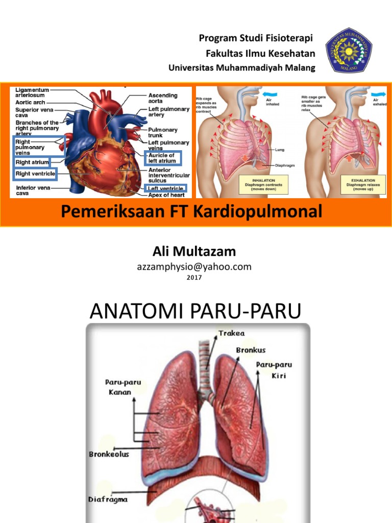 Sistem Pemeriksaan Paru | PDF