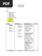 Triptico Cerro Pasco | PDF