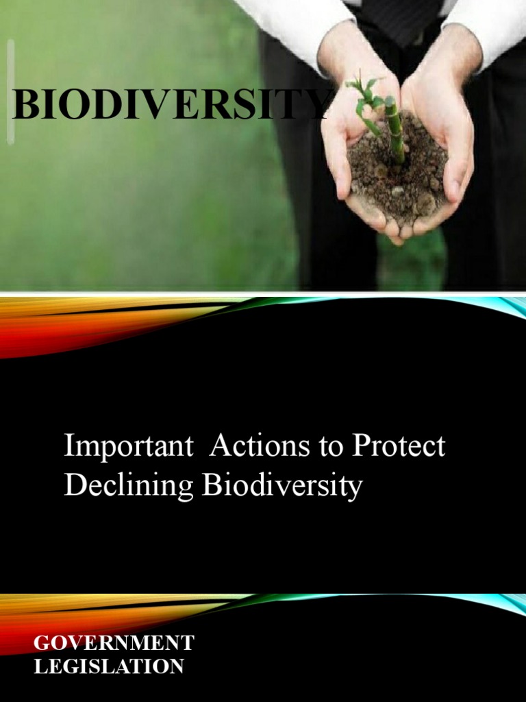 Important Actions To Protect Declining Biodiversity | PDF ...